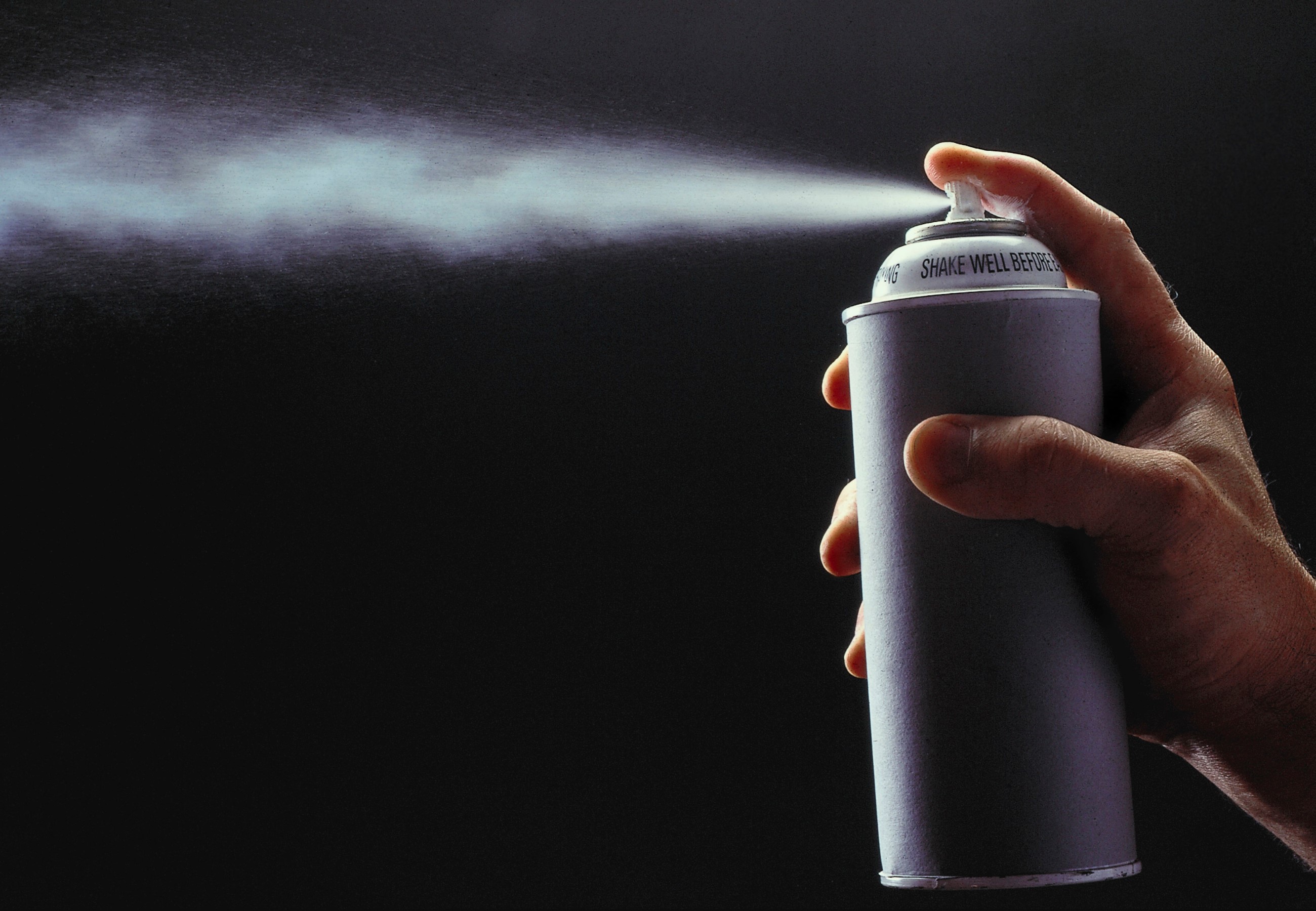 Spraydip | SEO & Social Retargeting Case